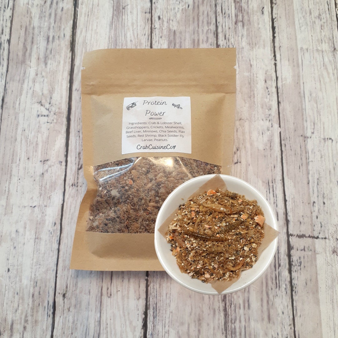 Protein Power - Hermit Crab Food - Protein Mix - Homemade ...