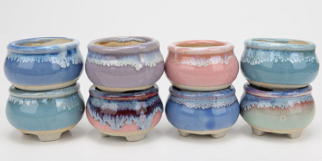 Mini Ceramic Planter Set: Baby Lithops, Cactus, Succulent Pot - Etsy