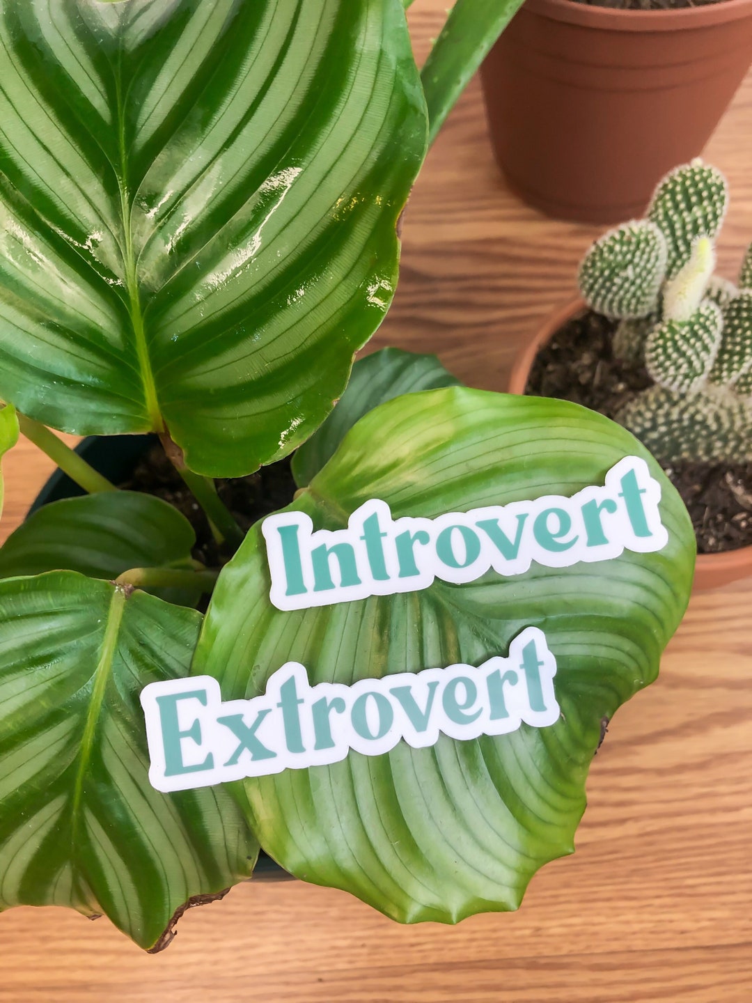 Introvert and Extrovert Sticker Introvert Sticker Extrovert Sticker ...