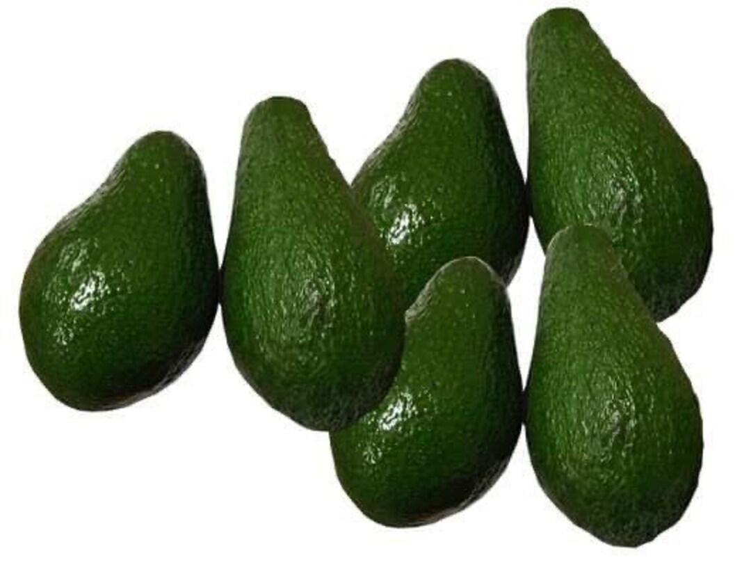Pinkerton Avocado Tree