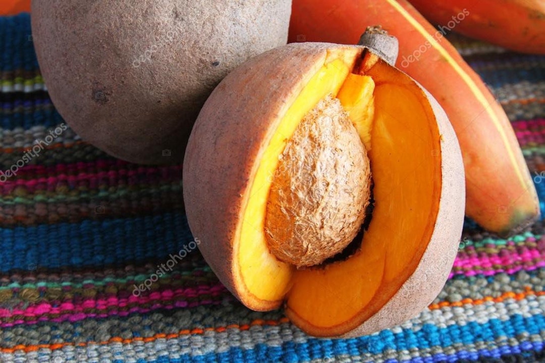 Grafted Mamey mammea Americana Live Fruit Tree 1-3 Ft - Etsy