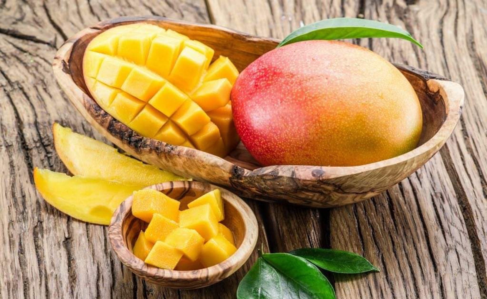 Grafted Palmer Mango mangifera Tropical Fruit Tree 1ft to 2 - Etsy UK