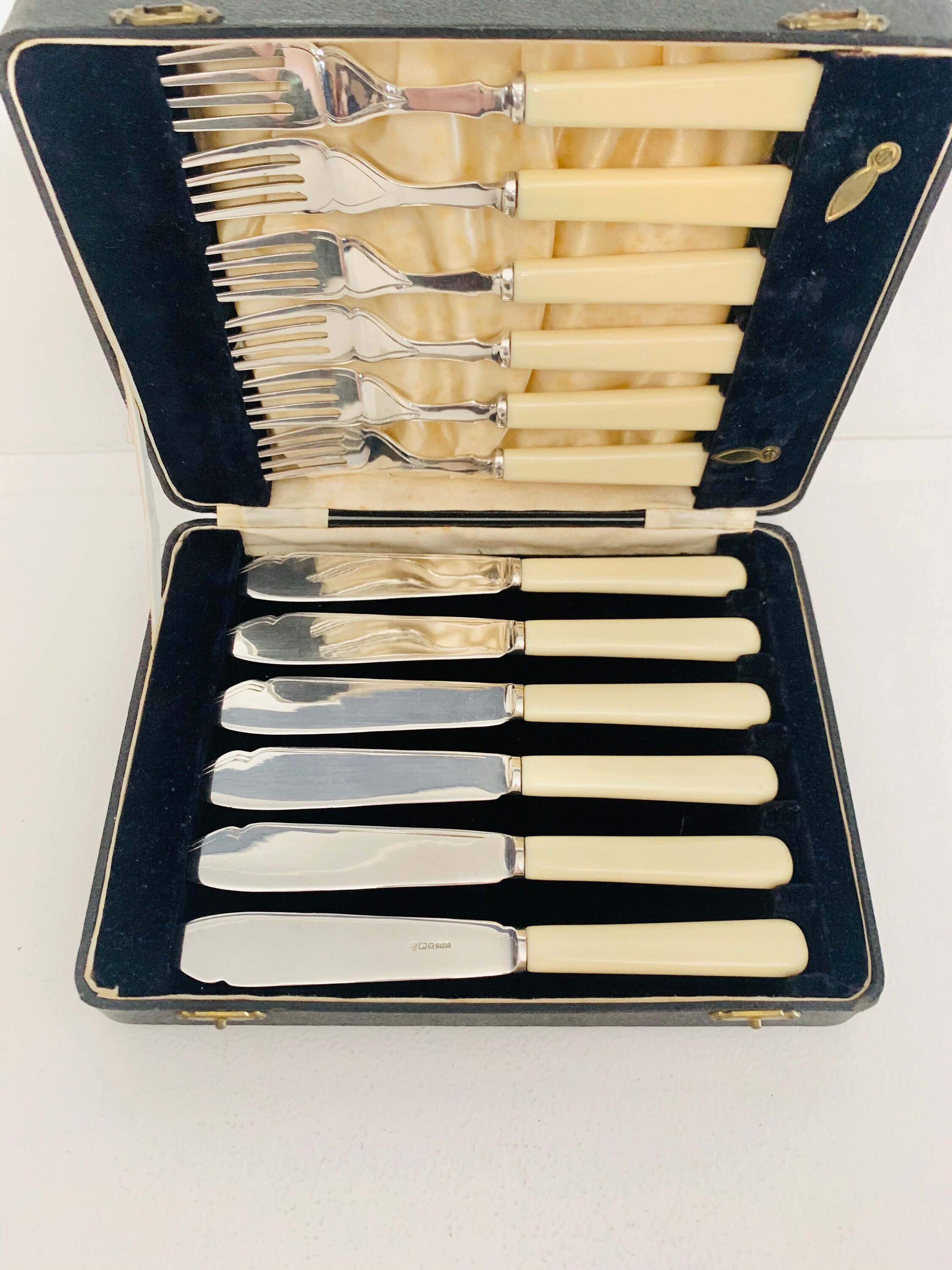 Faux Bone / Zylonite Handled, 12 Piece EPNS Fish Knives & Forks in ...