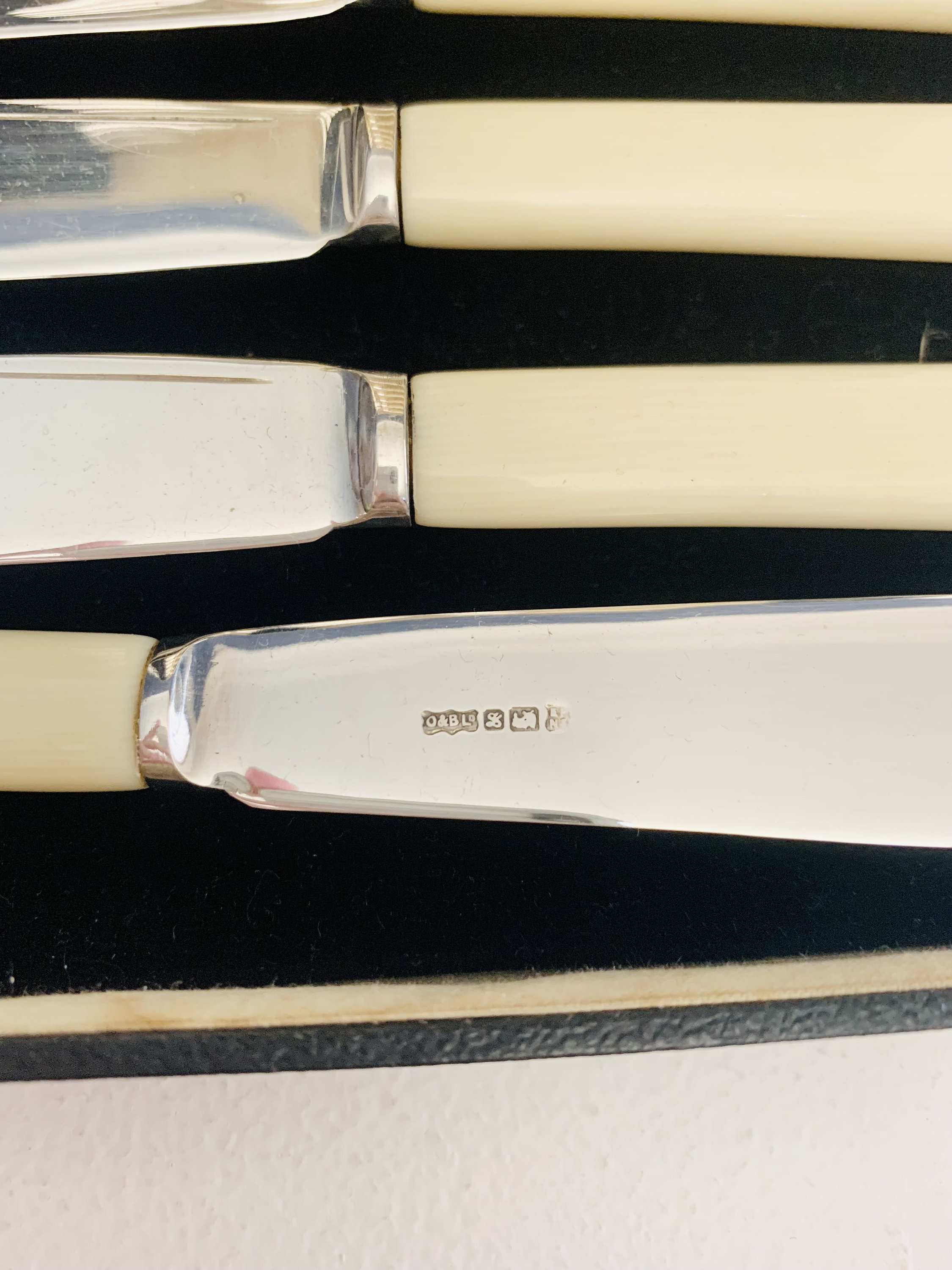 Faux Bone / Zylonite Handled, 12 Piece EPNS Fish Knives & Forks in ...