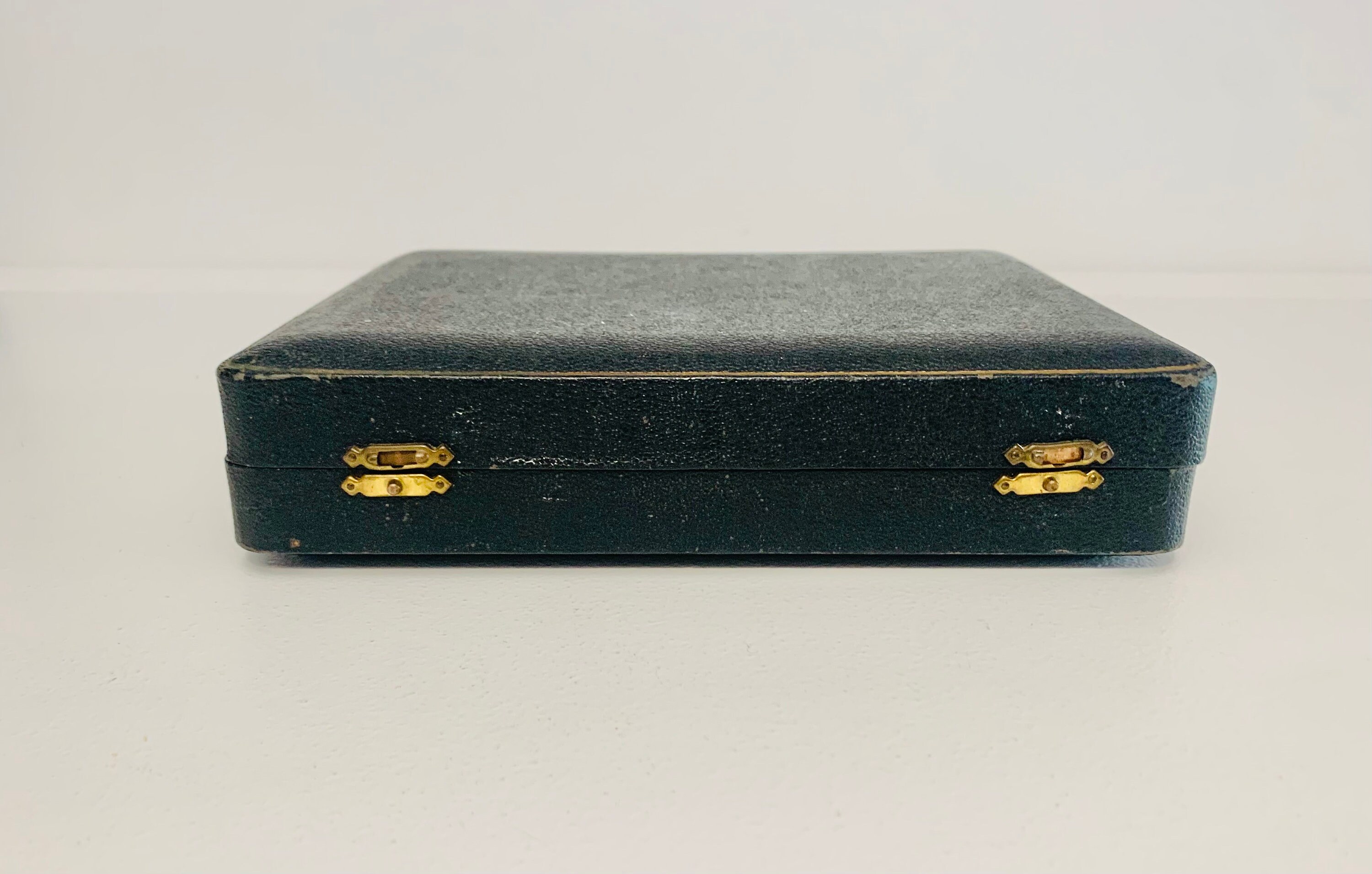 Faux Bone / Zylonite Handled, 12 Piece EPNS Fish Knives & Forks in ...