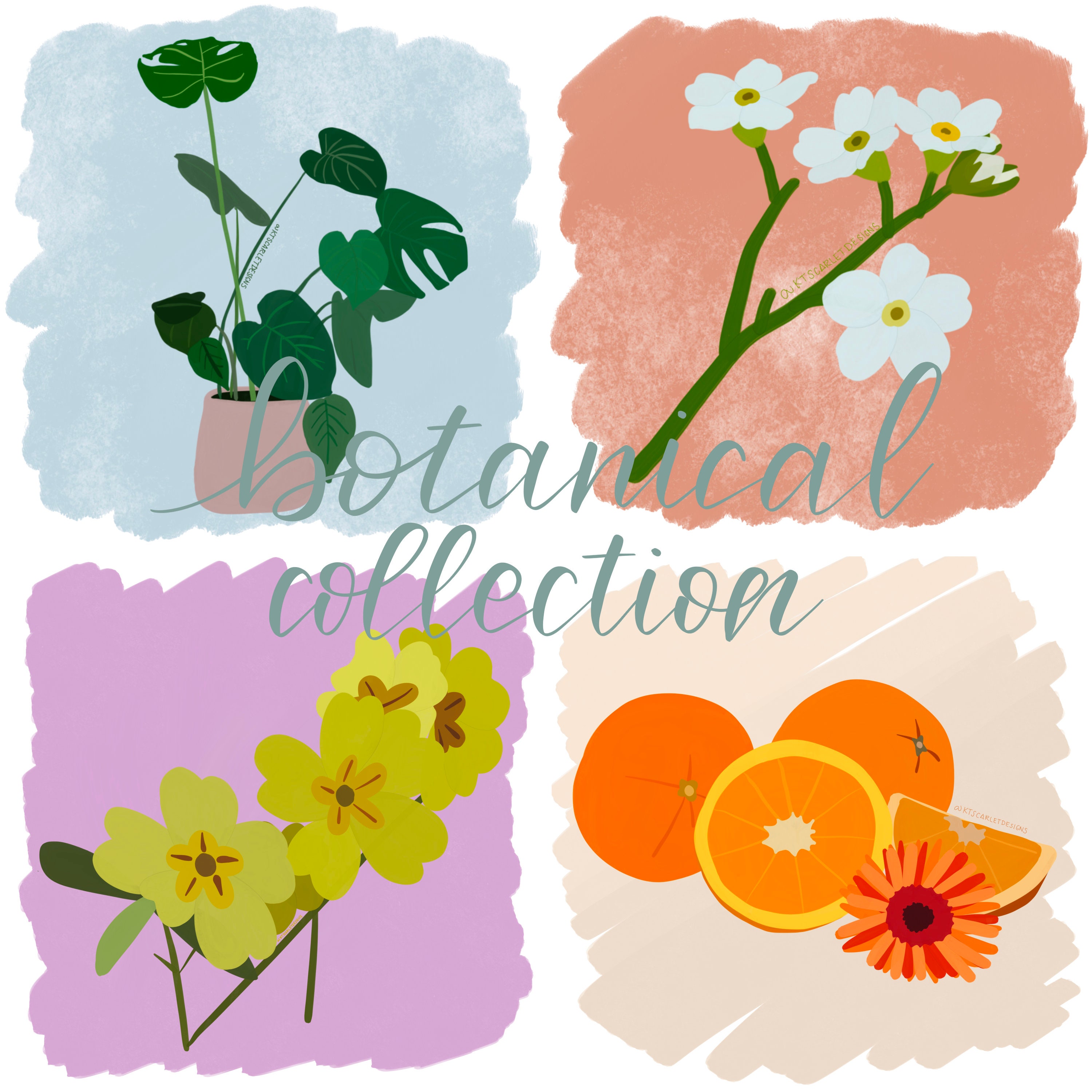 Complete Botanical Collection Download - Etsy UK