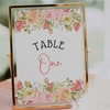 Jungle Table Numbers Editable Template, Tables 1-10 Jungle Safari Table ...
