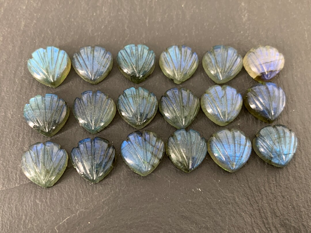 Labradorite Sea Shell 12x12mm Cabochon - Etsy