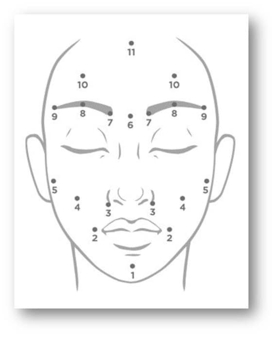 Face Acupressure Points Chart