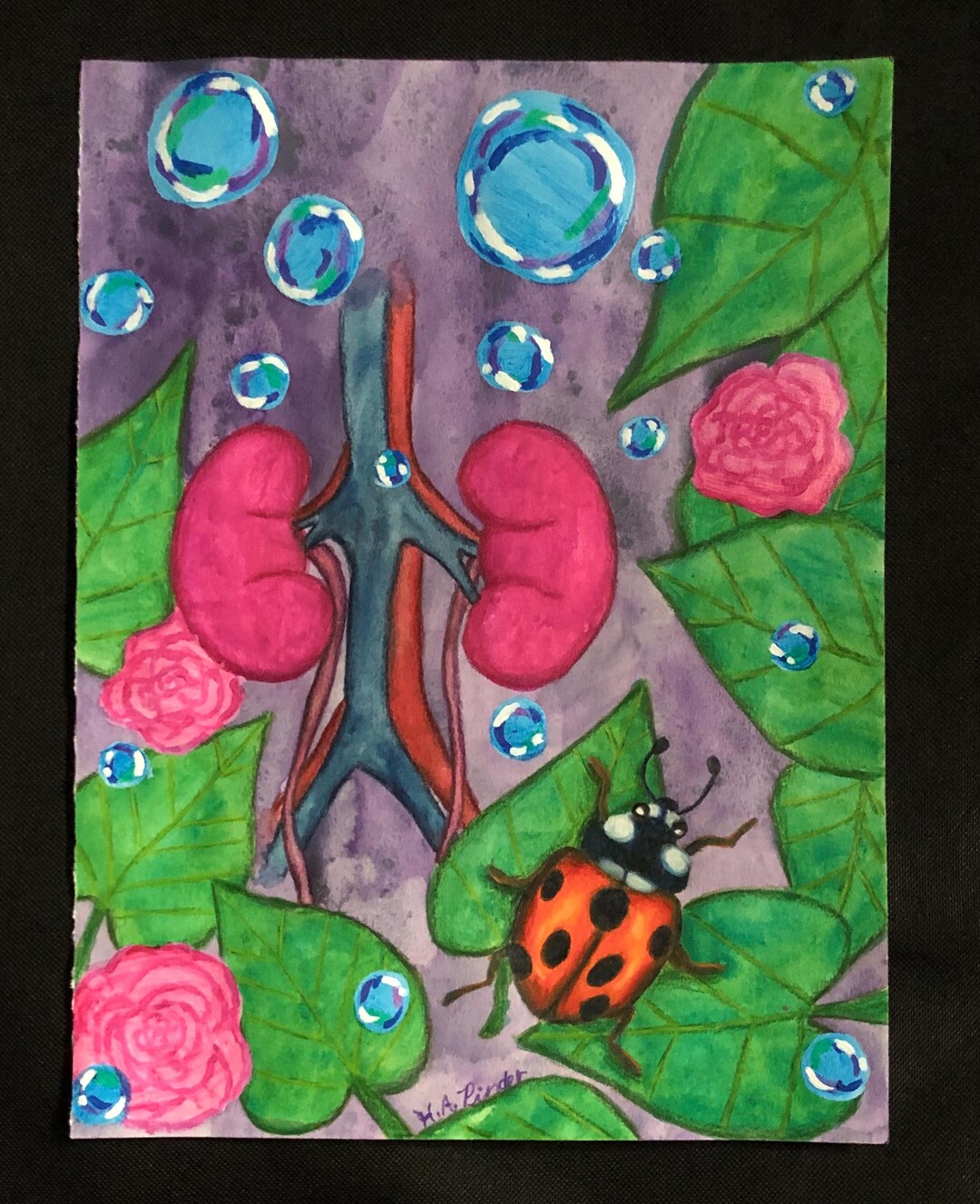 Kidney Rose Bubble Painting, Ladybug Leaf Anatomy Drawing - Etsy