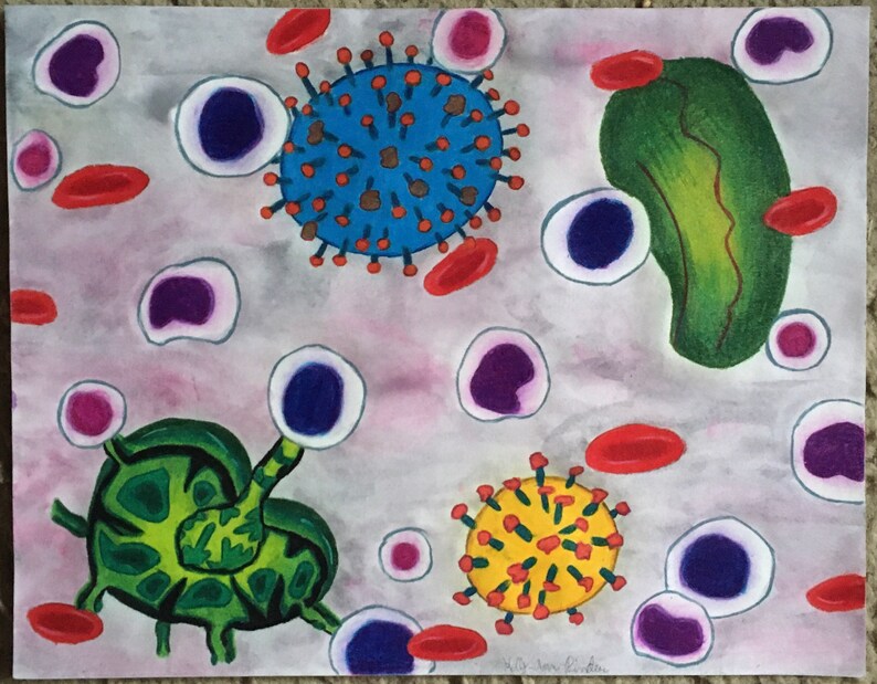 Immune System Drawing Cell Anatomy Art - Etsy