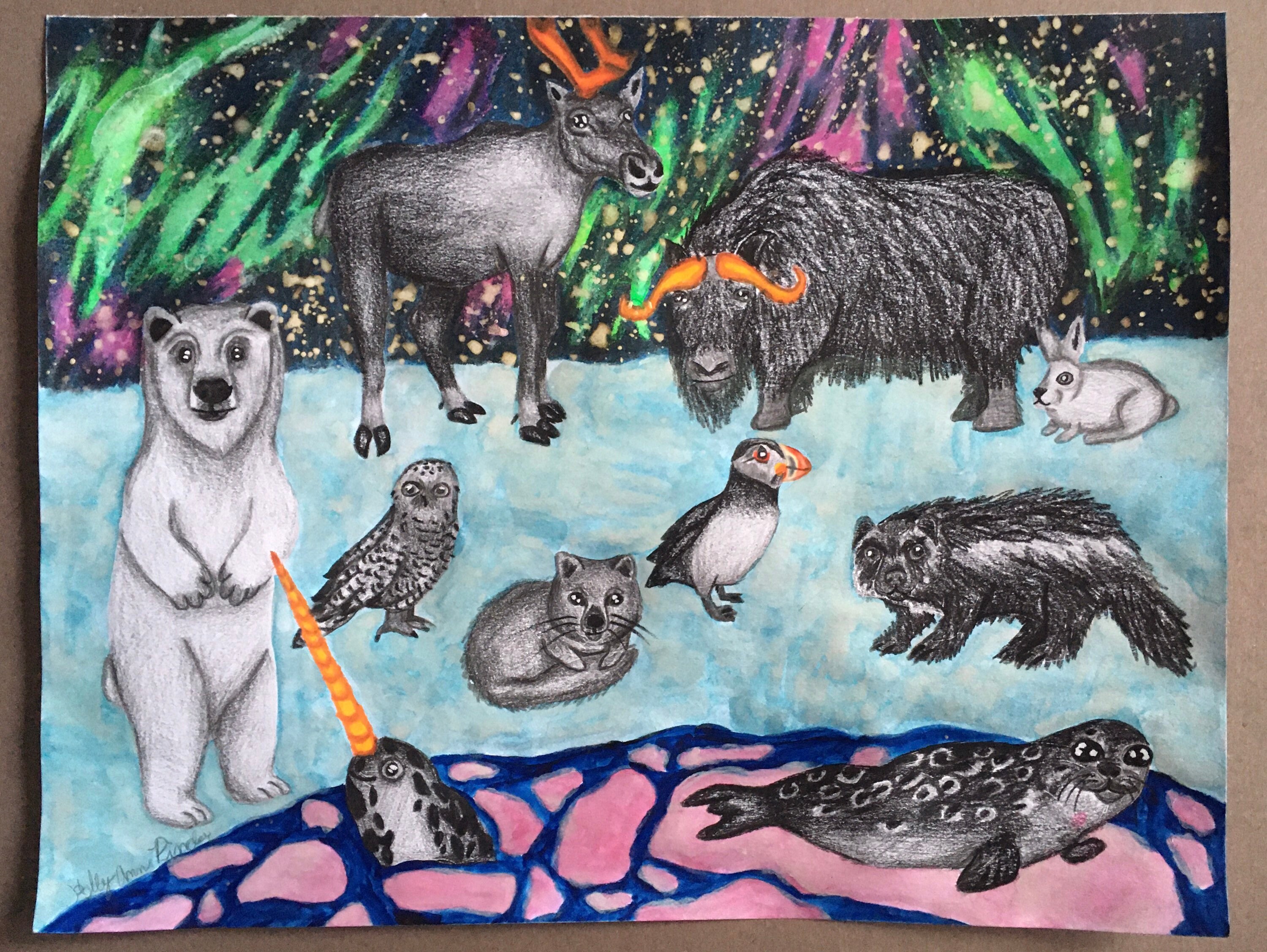 Pencil Art & Collectibles Polar Bear and Seal Drawing Arctic Animal ...