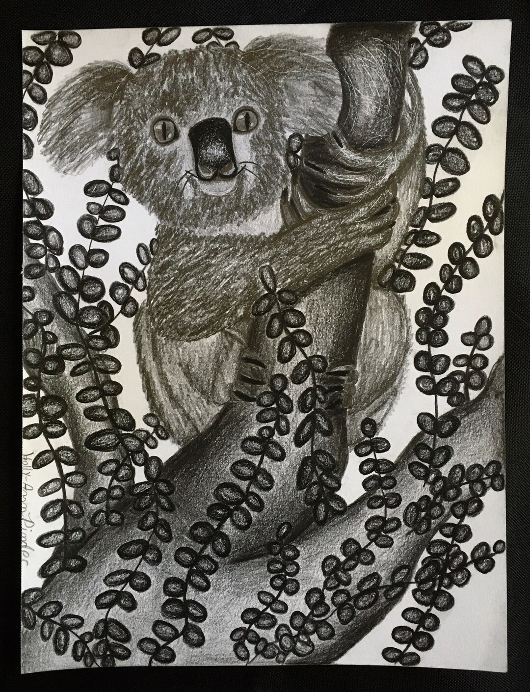 Koala Eucalyptus Tree Drawing - Etsy