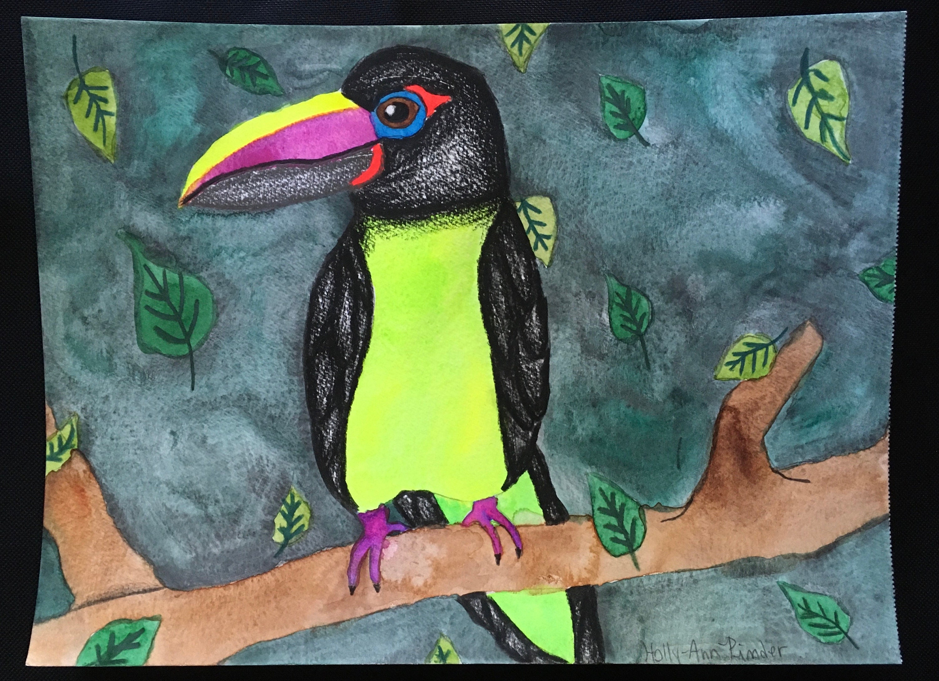 Toucan Drawing For Kids