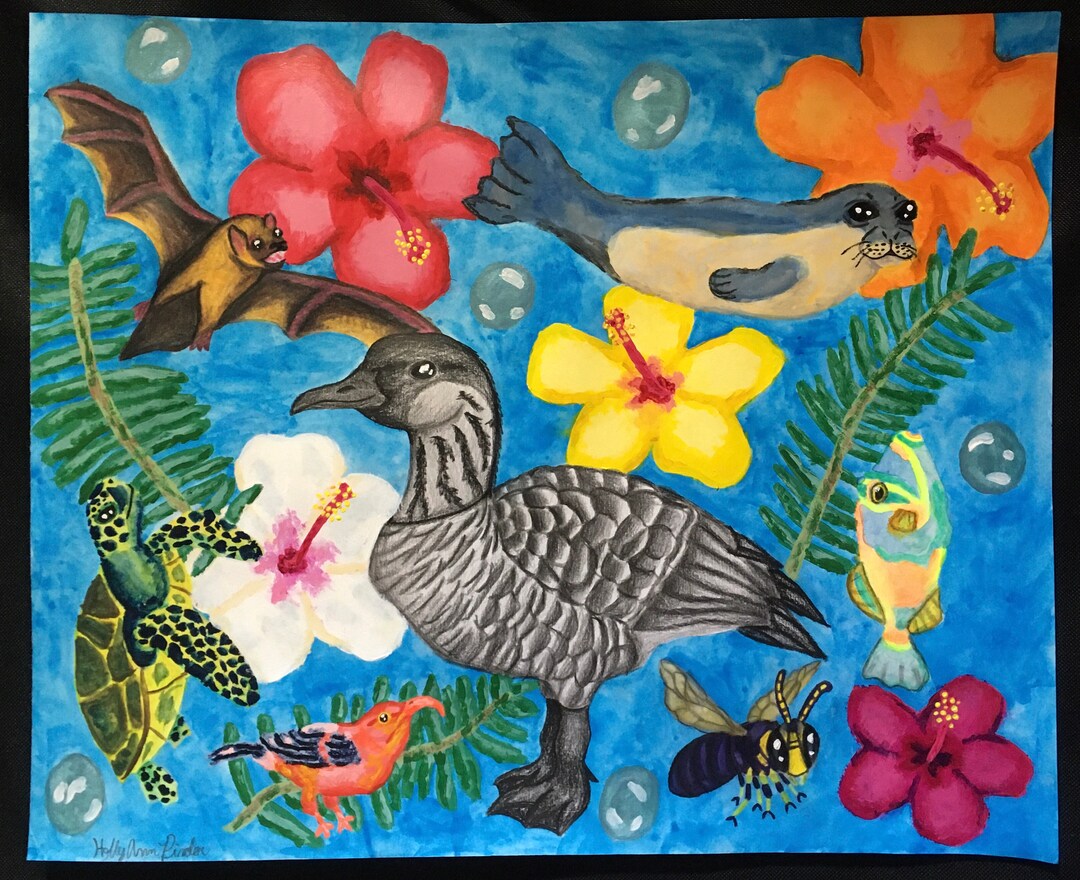 Hawaii Picture, Nene Goose Drawing, Seaturtle Seal Painting, Hibiscus ...