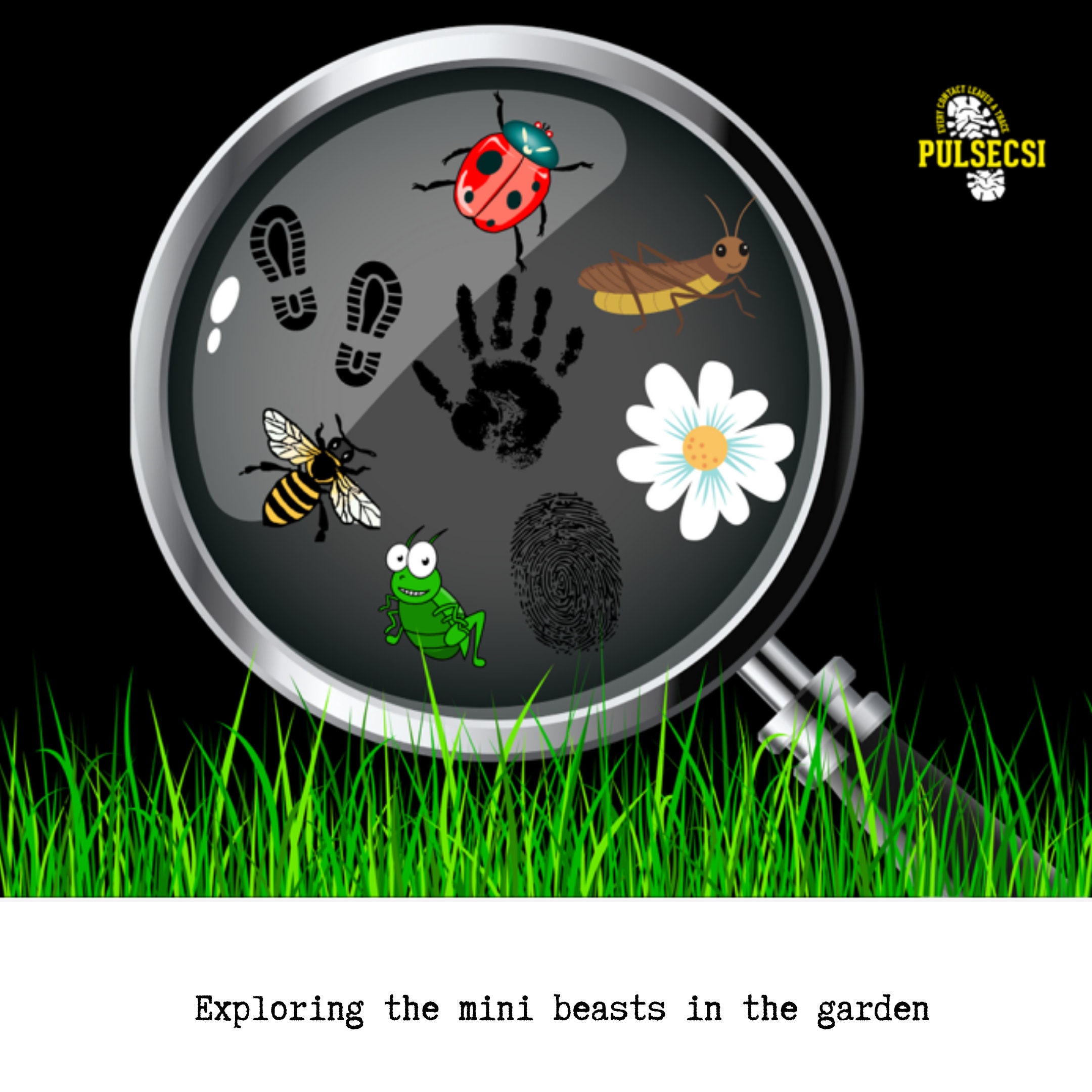 CSI Forensics Kit Kids Spy Detective Fingerprint Science STEM - Etsy UK