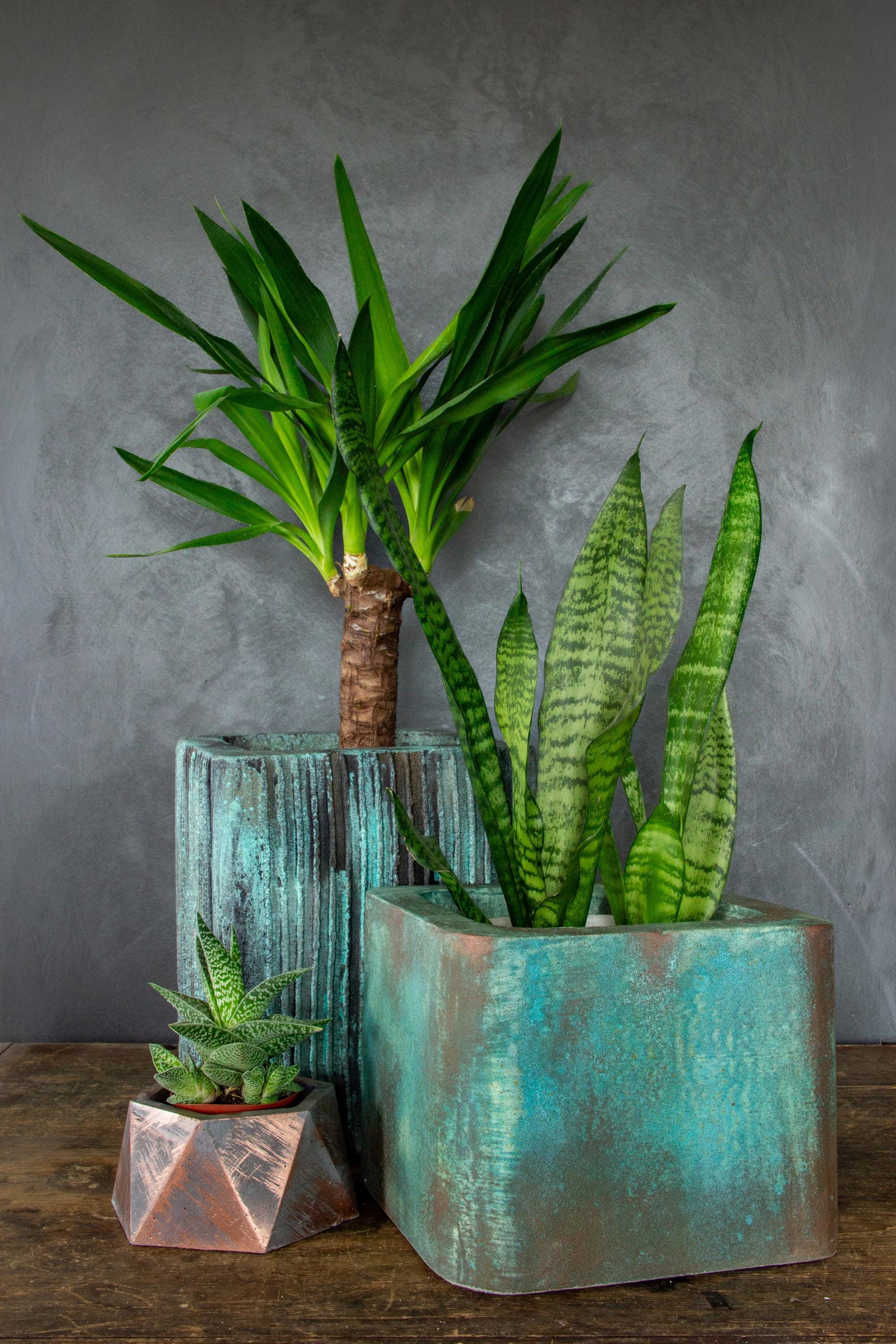Turquoise Planter | Handmade Artistic Plant Pot | Rustic Modern Home ...