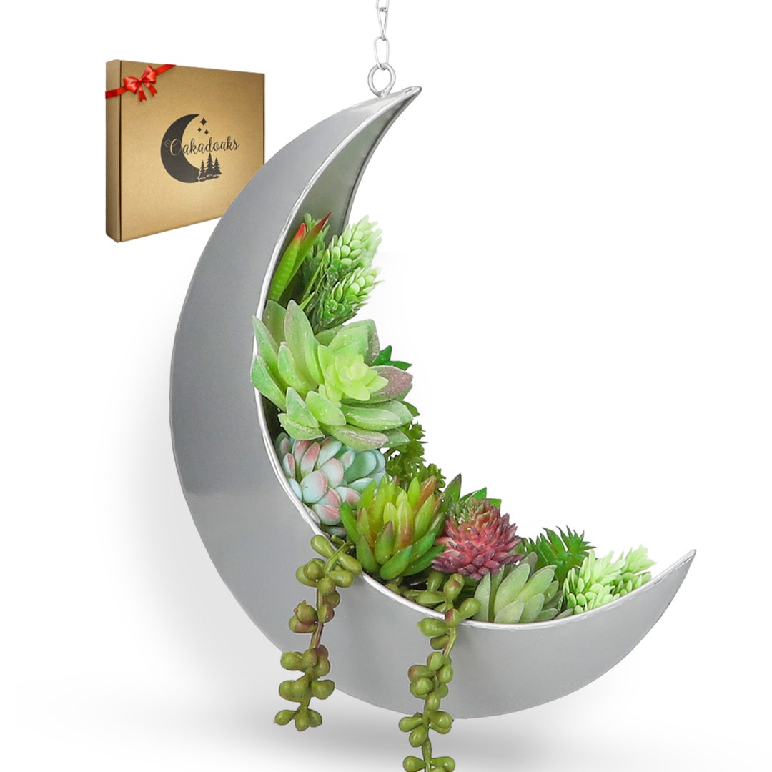 Hanging Moon Planter for Moon Room Decor Great for - Etsy