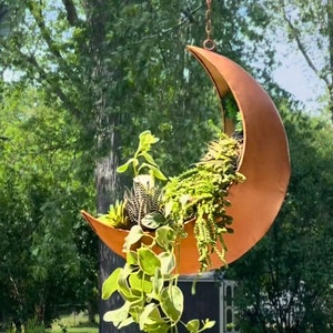 Hanging Moon Planter for Moon Room Decor - Great for Succulents, Air ...