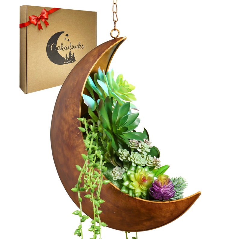 Hanging Moon Planter for Moon Room Decor Great for - Etsy