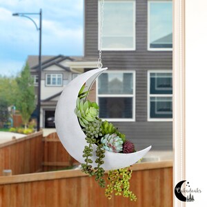 Hanging Moon Planter for Moon Room Decor - Great for Succulents, Air ...