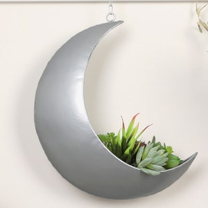 Hanging Moon Planter for Moon Room Decor - Great for Succulents, Air ...
