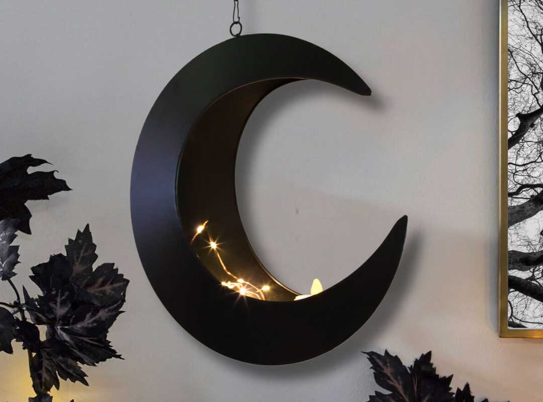 Hanging Moon Planter - Great for Succulents, Air and Faux Plants ...
