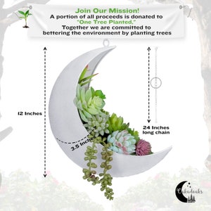 Hanging Moon Planter for Moon Room Decor - Great for Succulents, Air ...