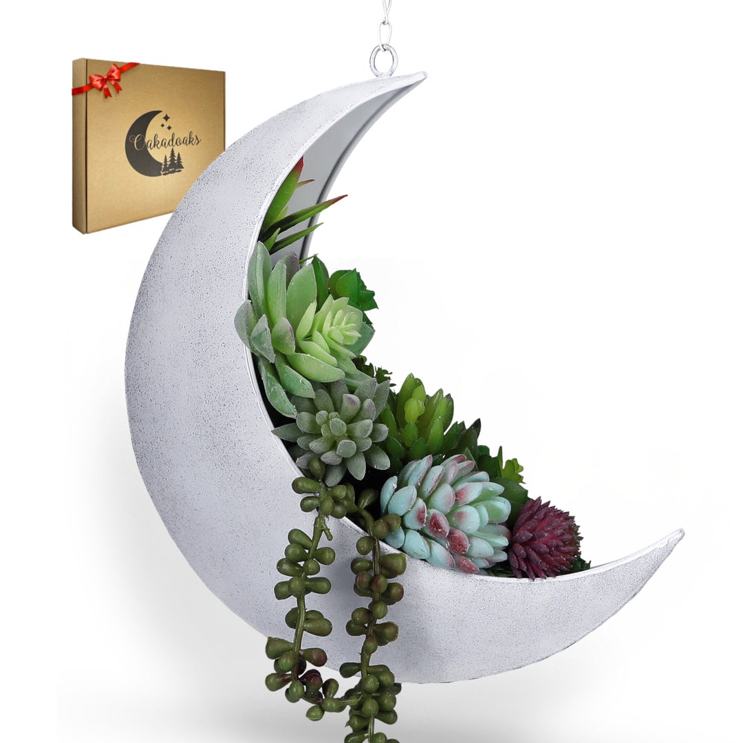Hanging Moon Planter for Moon Room Decor Great for Succulents, Air ...