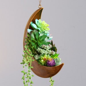 Hanging Moon Planter for Moon Room Decor Great for - Etsy