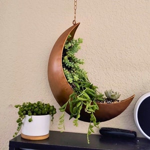 Hanging Moon Planter for Moon Room Decor - Great for Succulents, Air ...