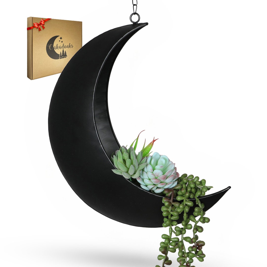 Hanging Moon Planter for Moon Room Decor Great for Succulents, Air ...