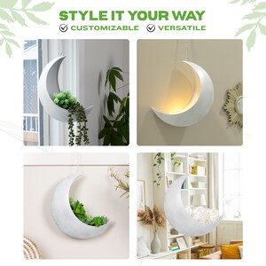 Hanging Moon Planter for Moon Room Decor - Great for Succulents, Air ...