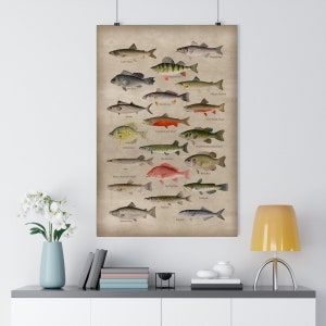 Vintage Fishes of North America Poster, Vintage Fish Art Print, Fishing ...