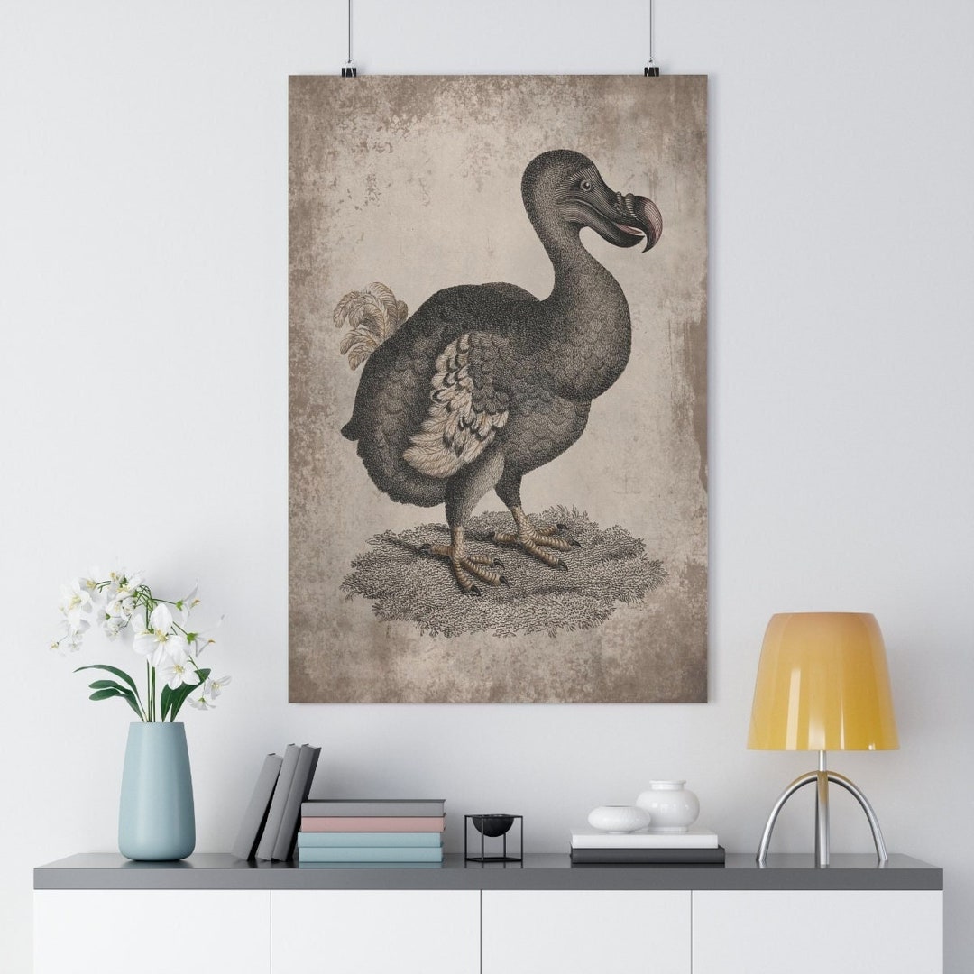 Vintage Dodo Print | Dodo Poster | Dodo Wall Art | Dodo Bird | Vintage ...