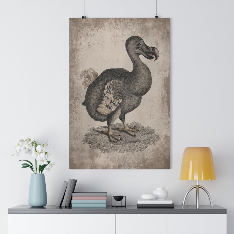Vintage Dodo Print Dodo Poster Dodo Wall Art Dodo Bird Vintage Bird ...
