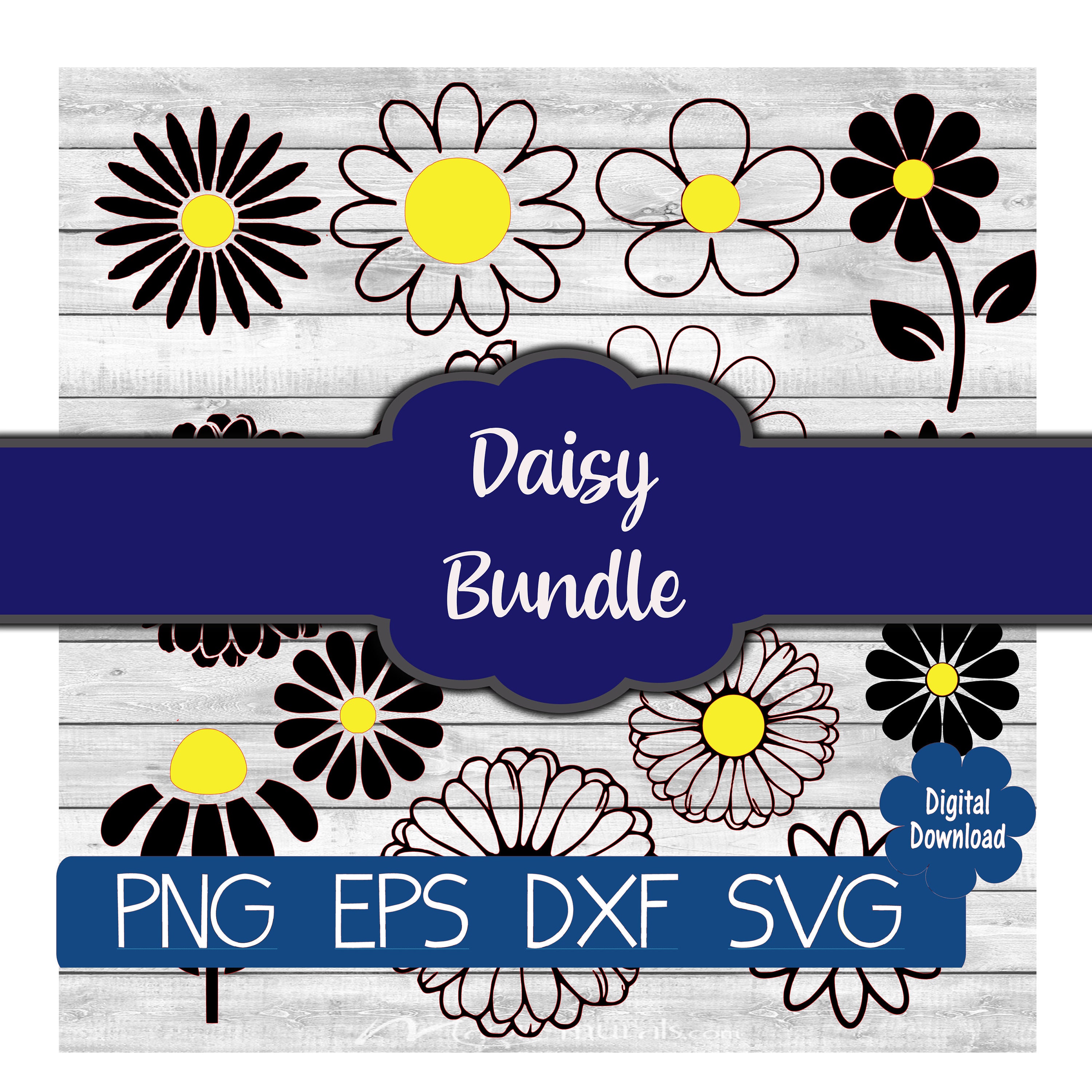 Daisy Bundle Svg Daisy Bundle Cut File Svg Eps Dxf Png Silhouette ...