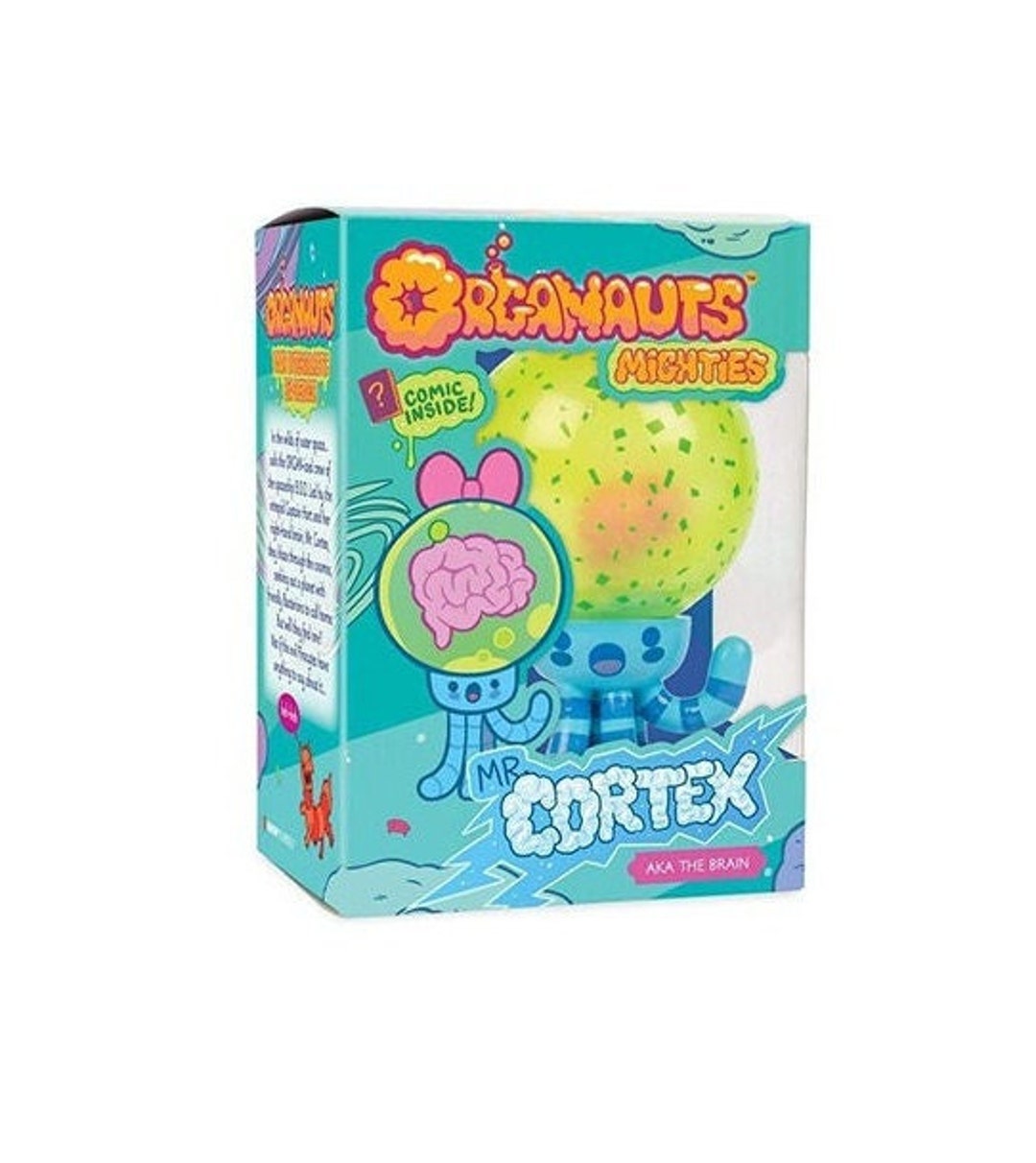 Mr. Cortex - the Brain - Organ Learning Toy - Etsy