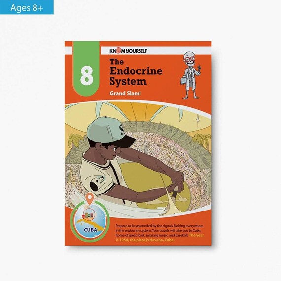 Endocrine System For Kids