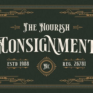 Mervyn Lewis - Vintage Serif Typeface - Etsy