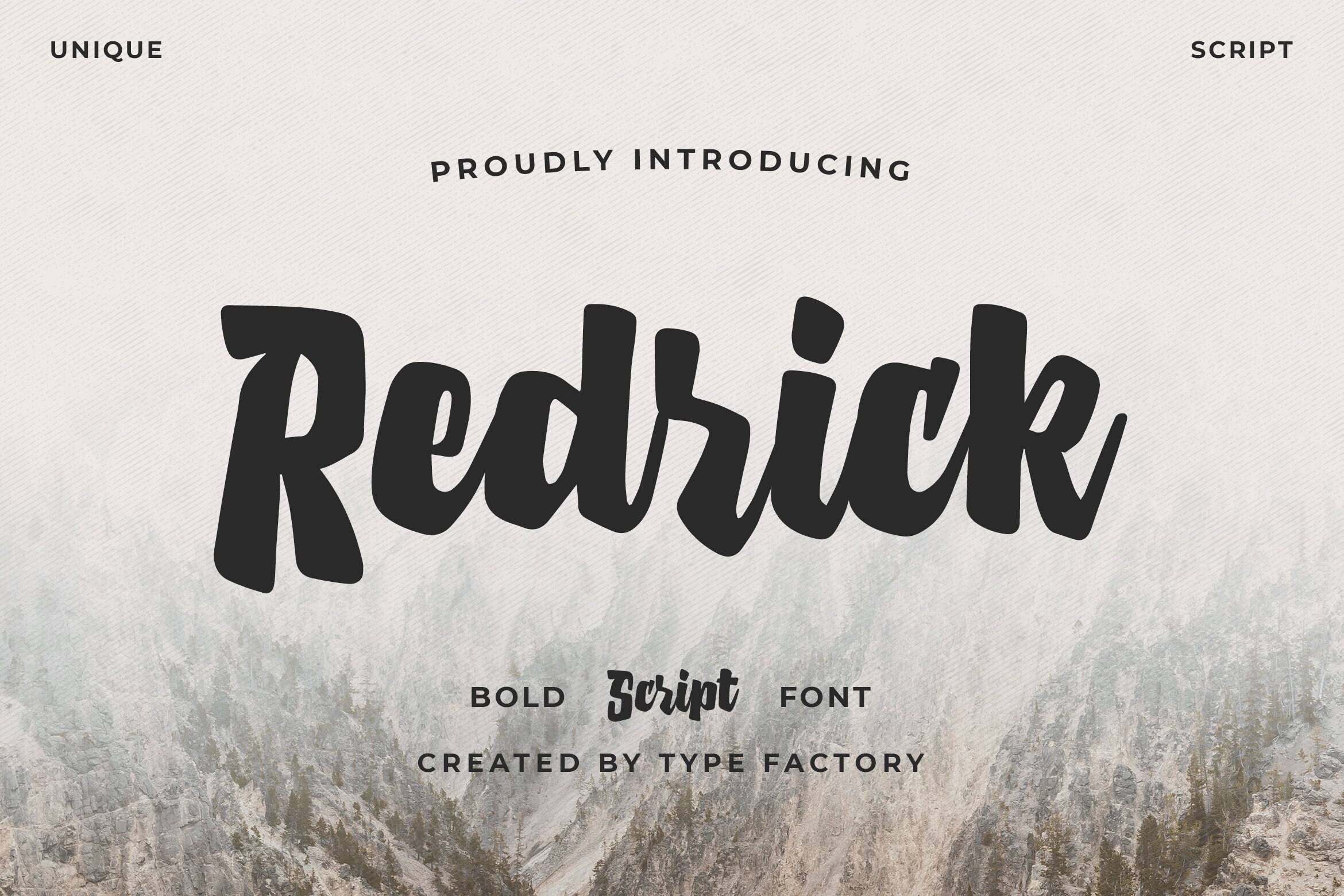 Redrick Bold Script Font - Etsy