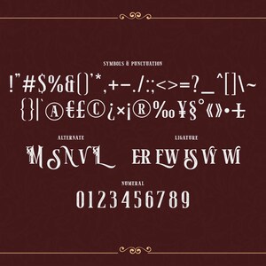 Mervyn Lewis Vintage Serif Typeface - Etsy