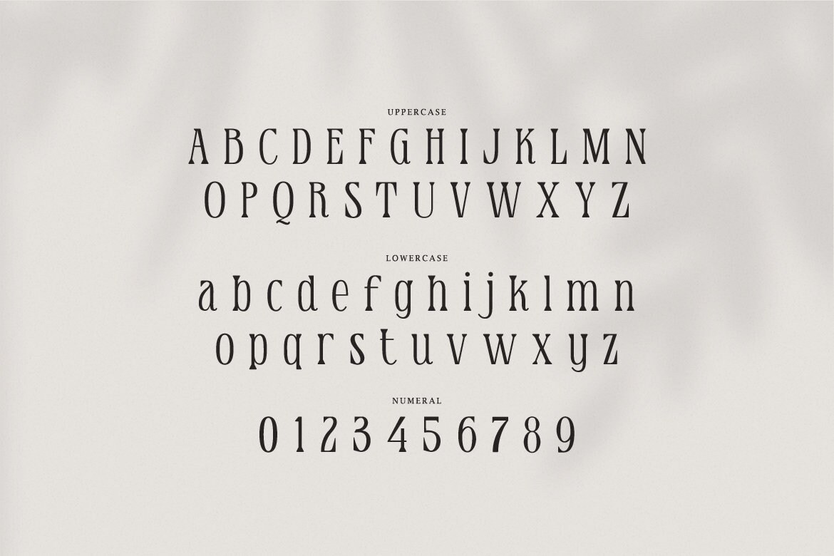 Tariel Valeri - Condensed Serif Typeface - Etsy