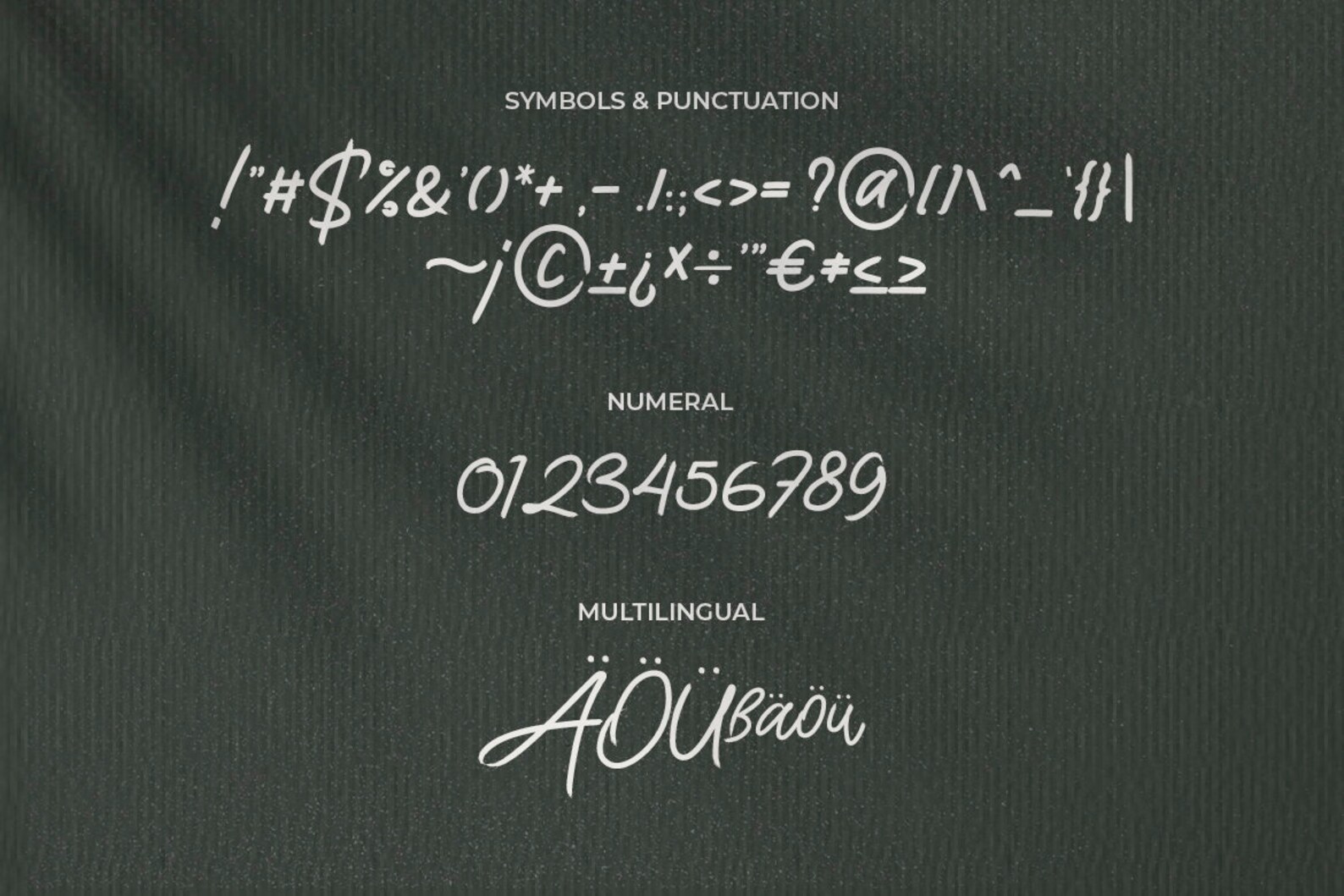 Life Rolling Handwritten Script Font - Etsy