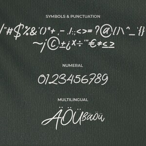 Life Rolling Handwritten Script Font - Etsy