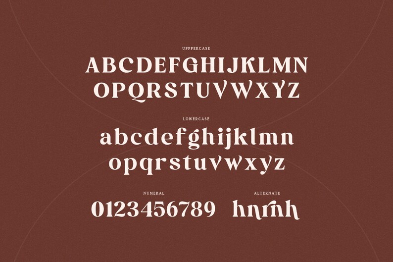 Elmond - Bold and Stylish Serif Font - Etsy