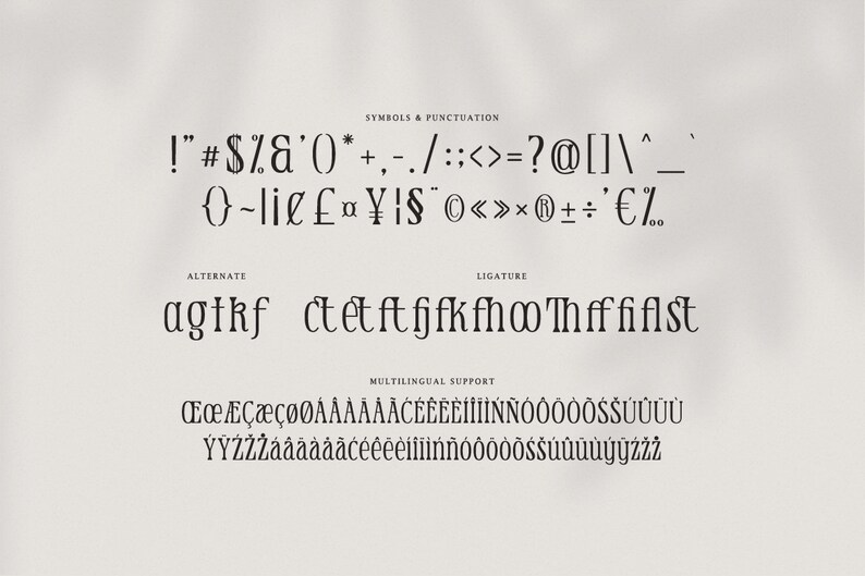 Tariel Valeri - Condensed Serif Typeface - Etsy