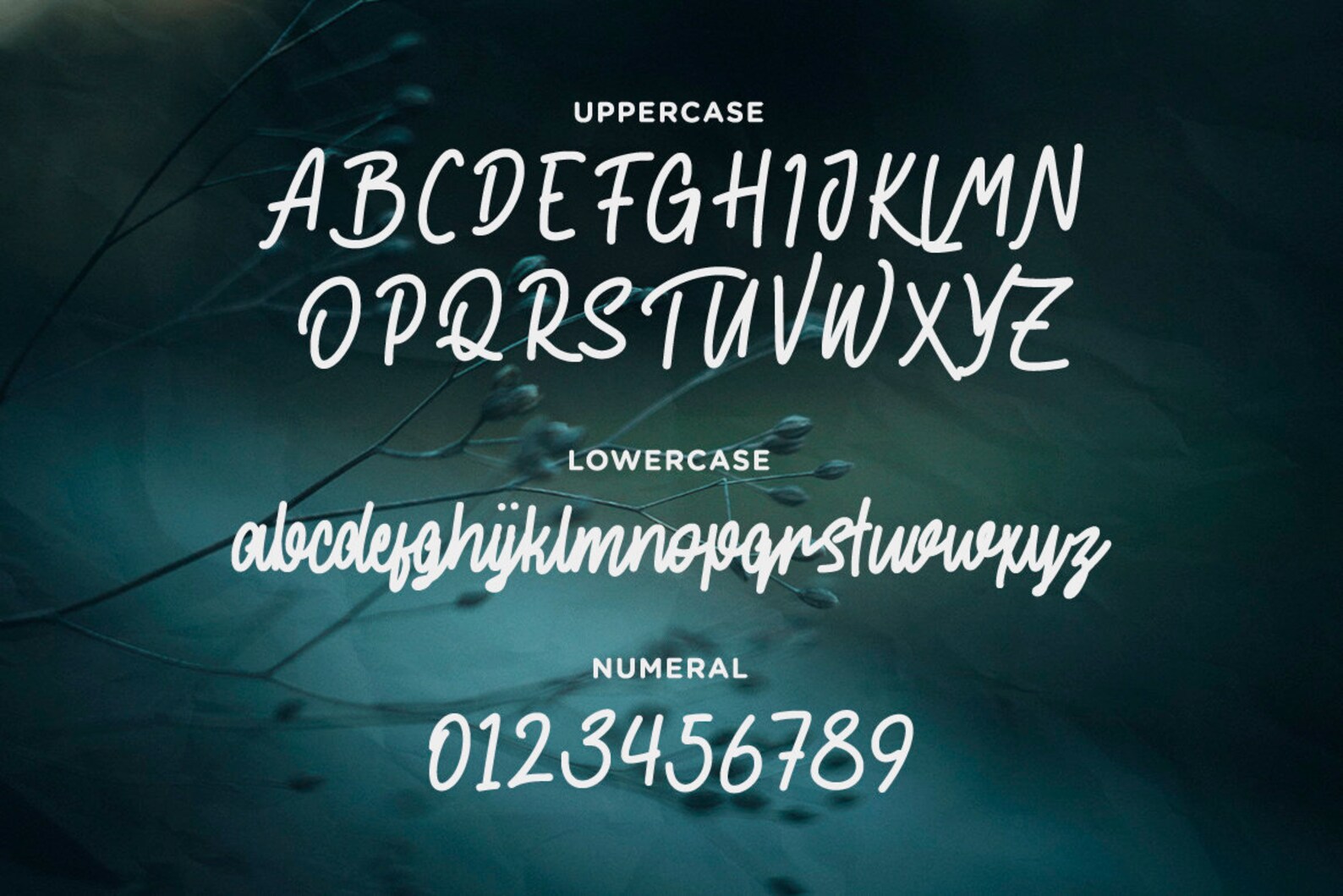 The End Story Handwritten Font - Etsy