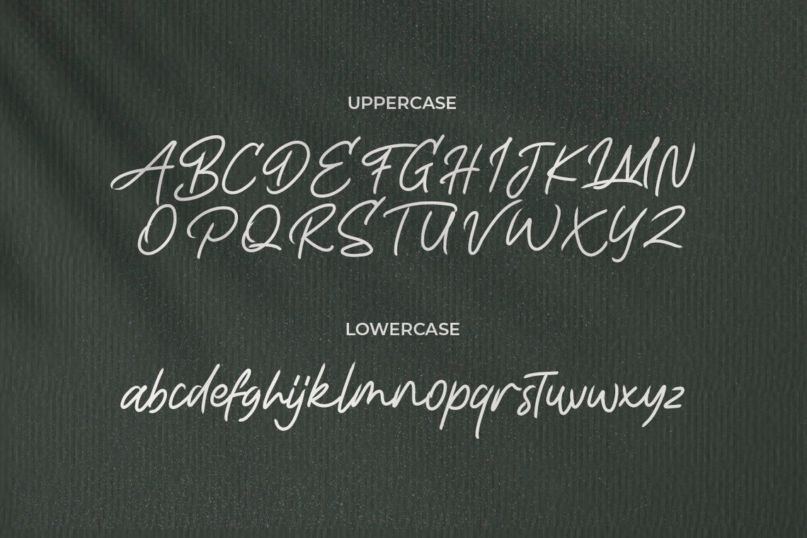 Life Rolling Handwritten Script Font - Etsy