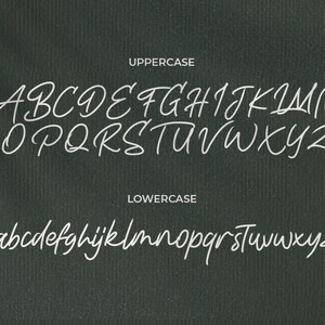 Life Rolling Handwritten Script Font - Etsy